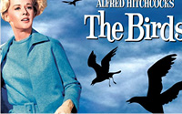 Tickets | Film Series: The Birds (10/5/25) | Tarrytown Music Hall